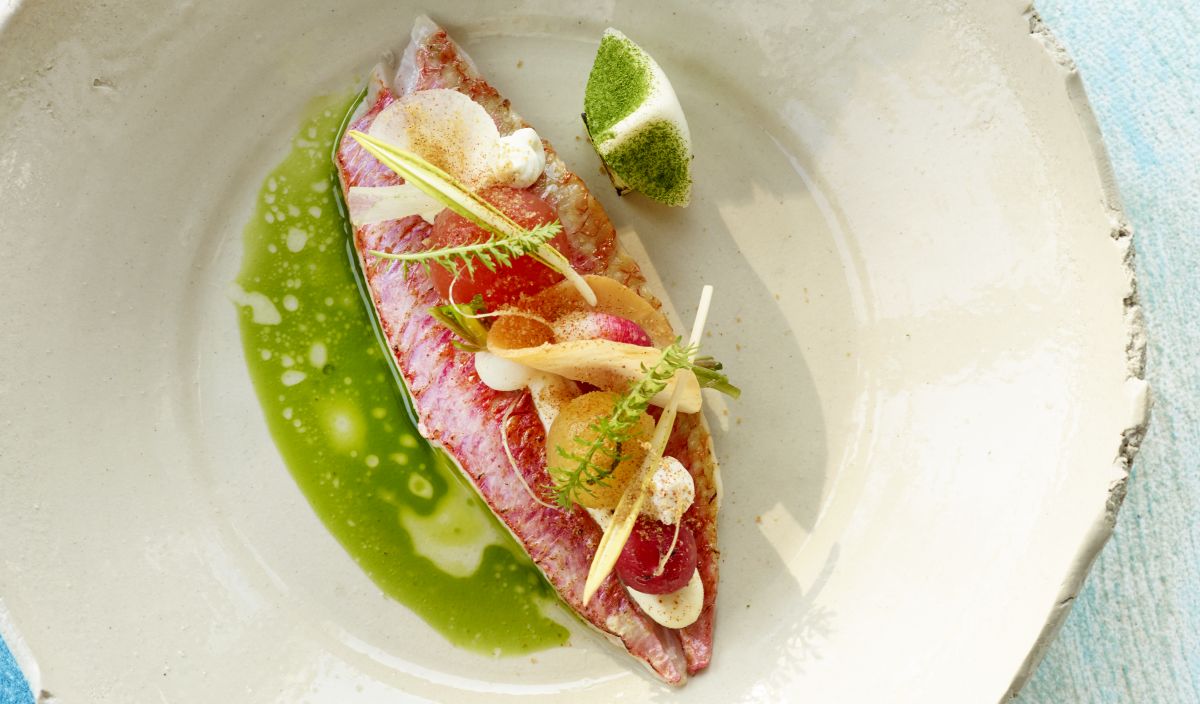 Gemarineerde zeebarbeel met tomaat, radijs en selder